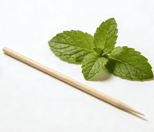 Why Mint Toothpick Is Trending: The Ultimate Guide for Oral Care ...